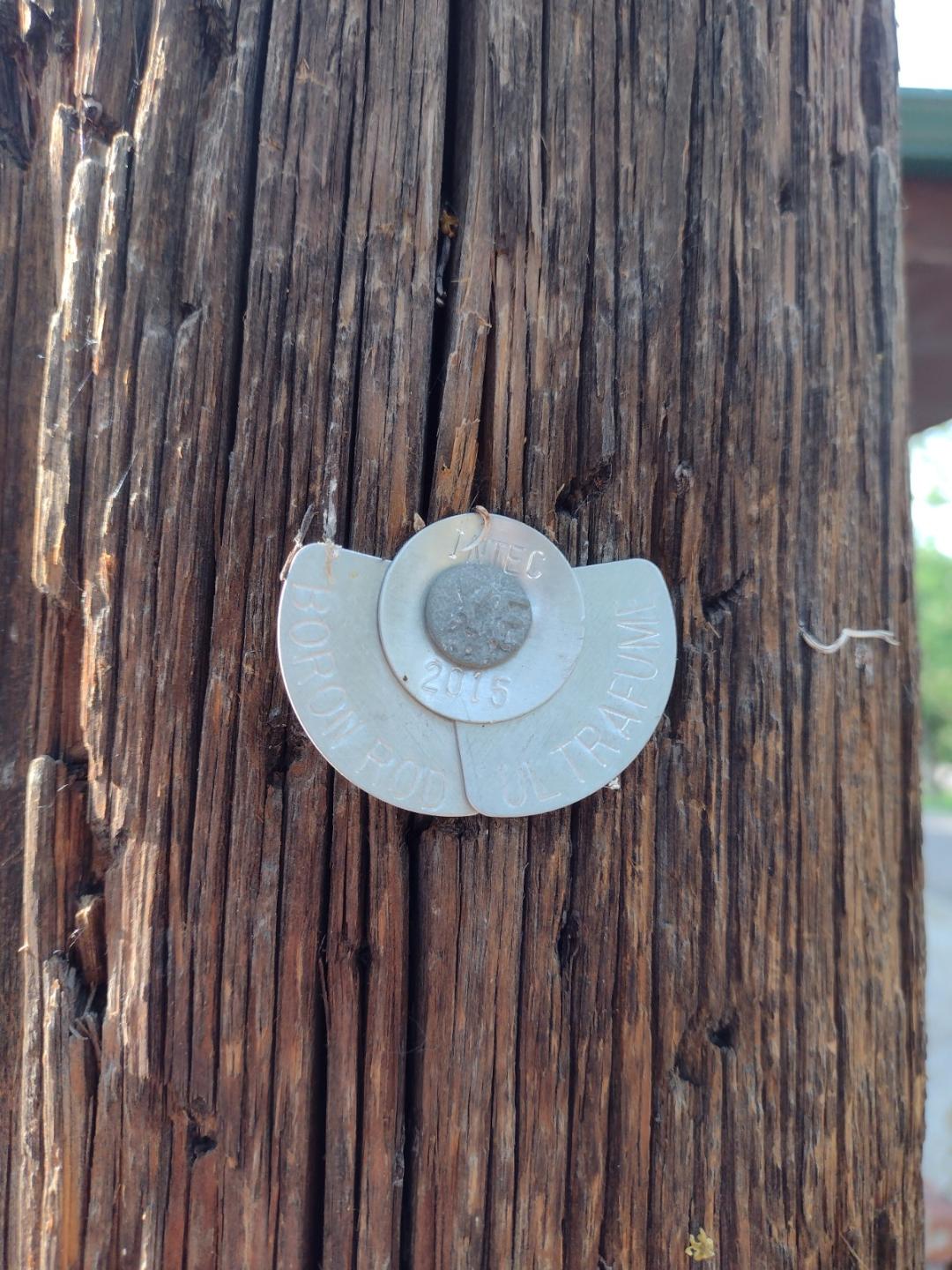 ‎How do I report a downed line? | Xfinity Community Forum